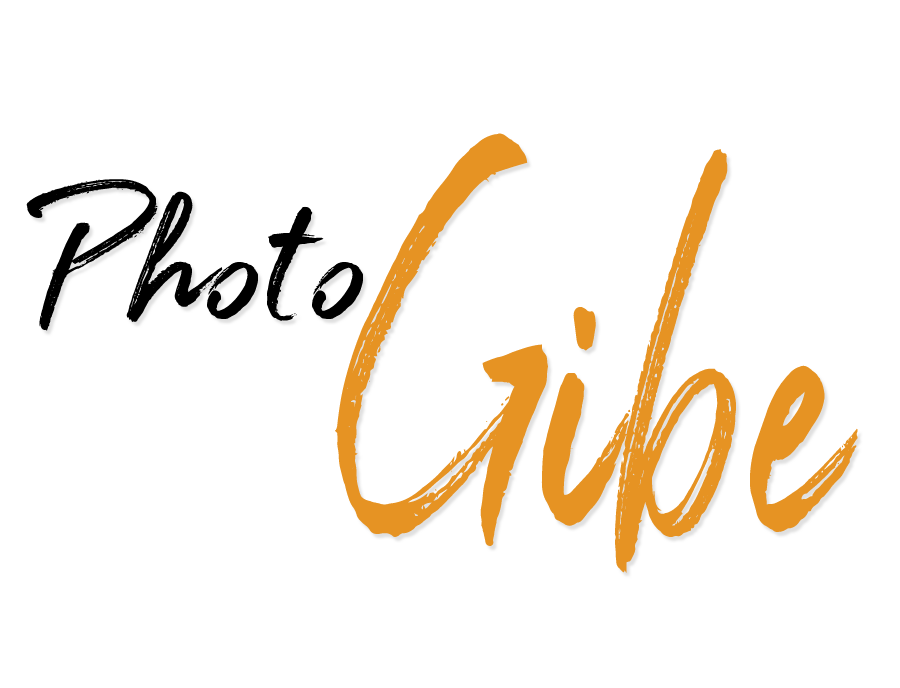 Services & Rates - Photo Gibe